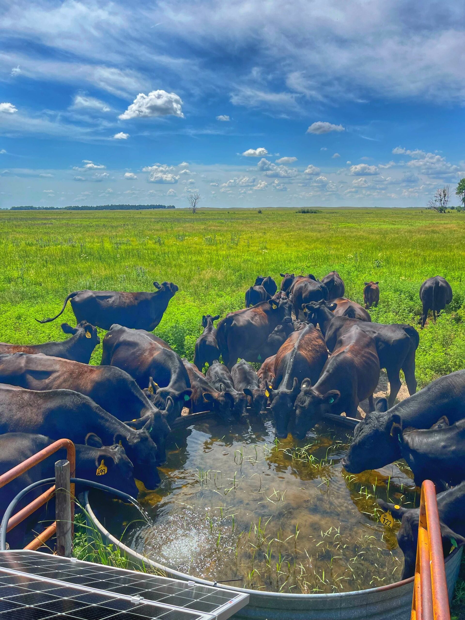 Top 100 Customer Photos – RPS Solar Pumps | America's #1 Solar Well Pumps