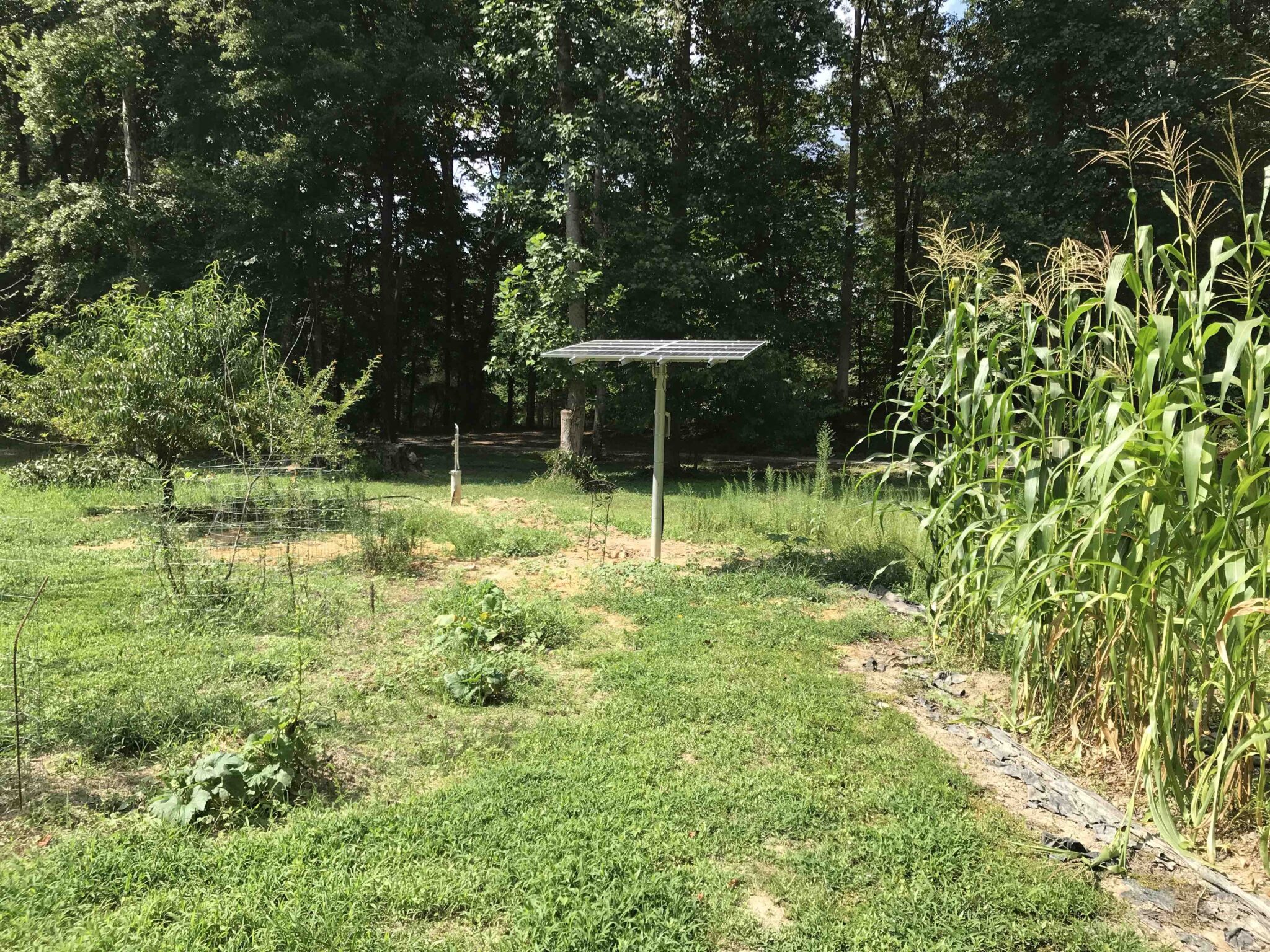 Top 100 Customer Photos – RPS Solar Pumps | America's #1 Solar Well Pumps